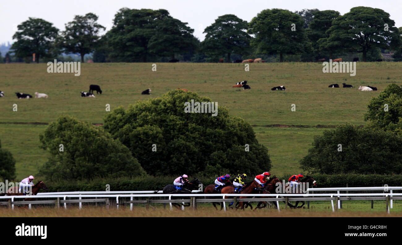 Horse racing ninth race meeting beverley racecourse hi-res stock ...