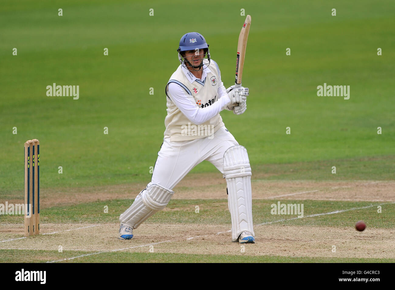 Cricket alex gidman hi-res stock photography and images - Alamy