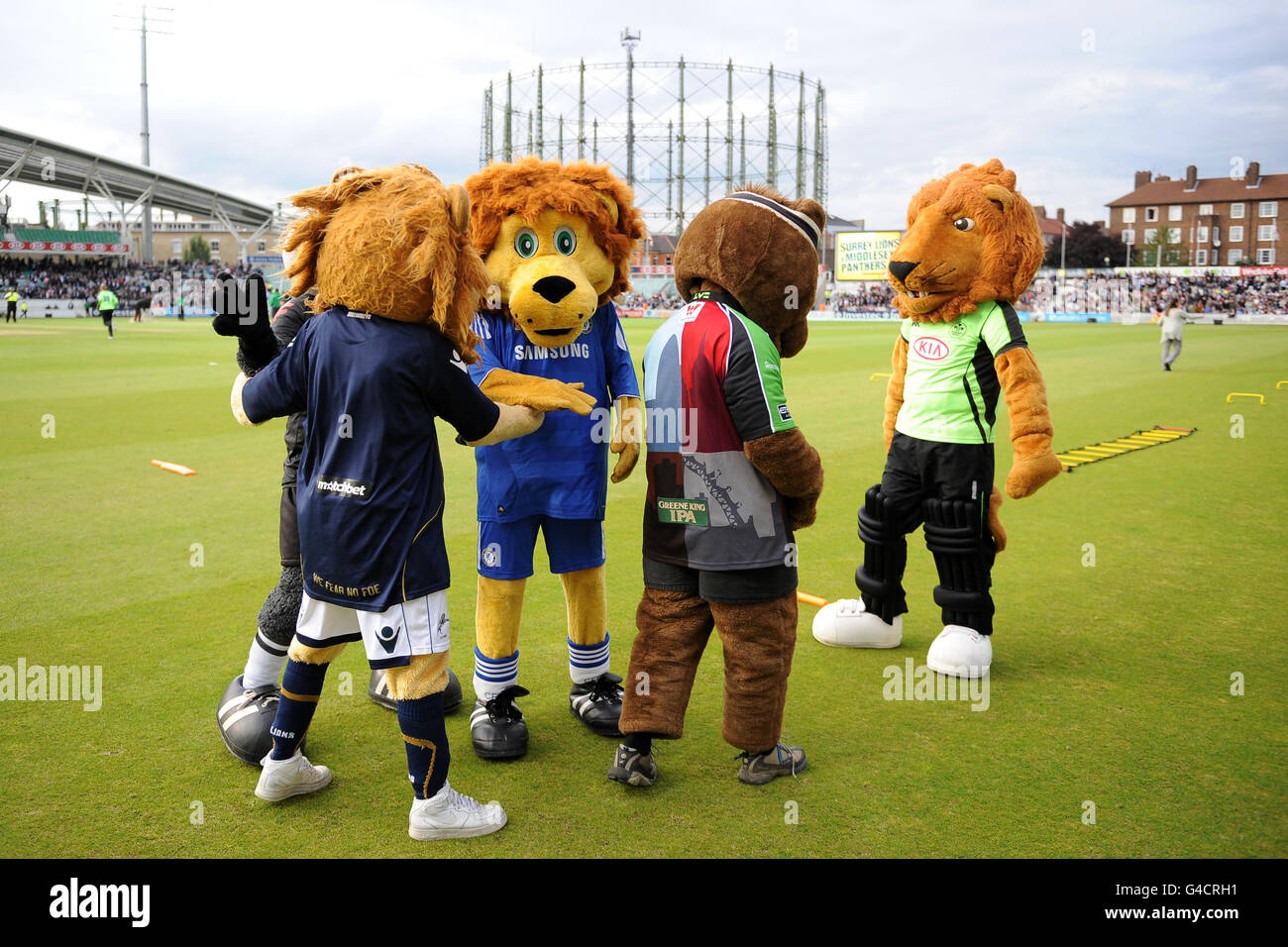 The surrey lions mascot leads out the team hi-res stock photography and ...
