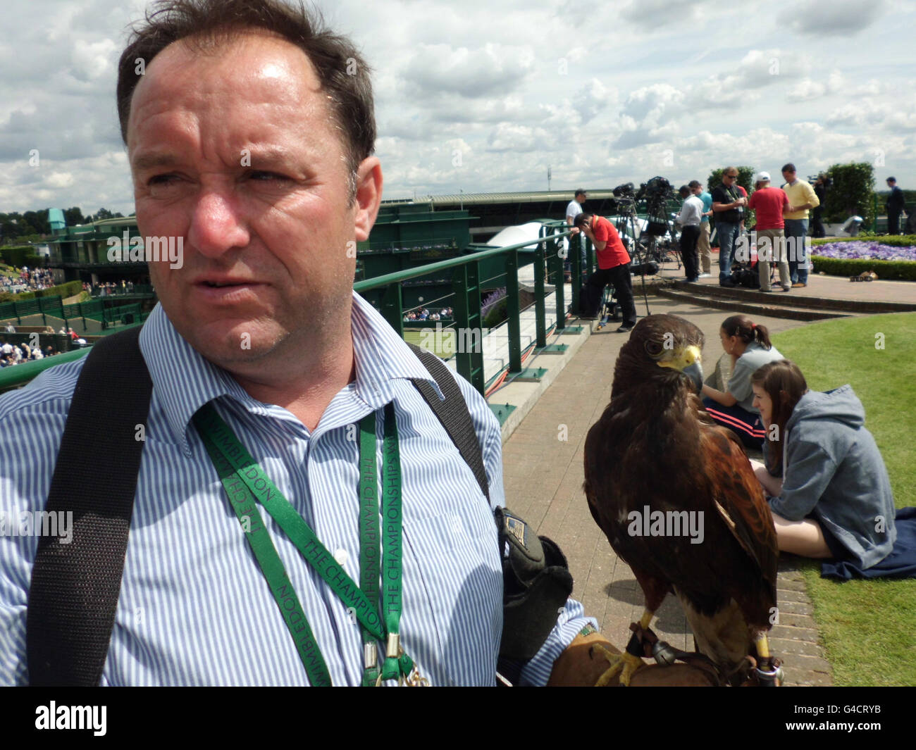Reppic sport wimbledon hawk head shot headshot mangkk hi-res stock ...