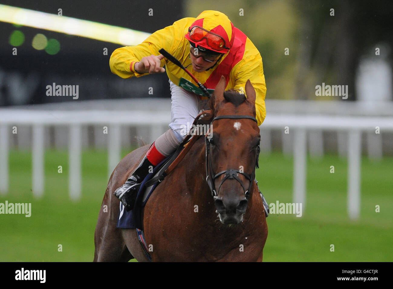 Louis-Philippe Beuzelin celebrates as he crosses the line on Crimson ...