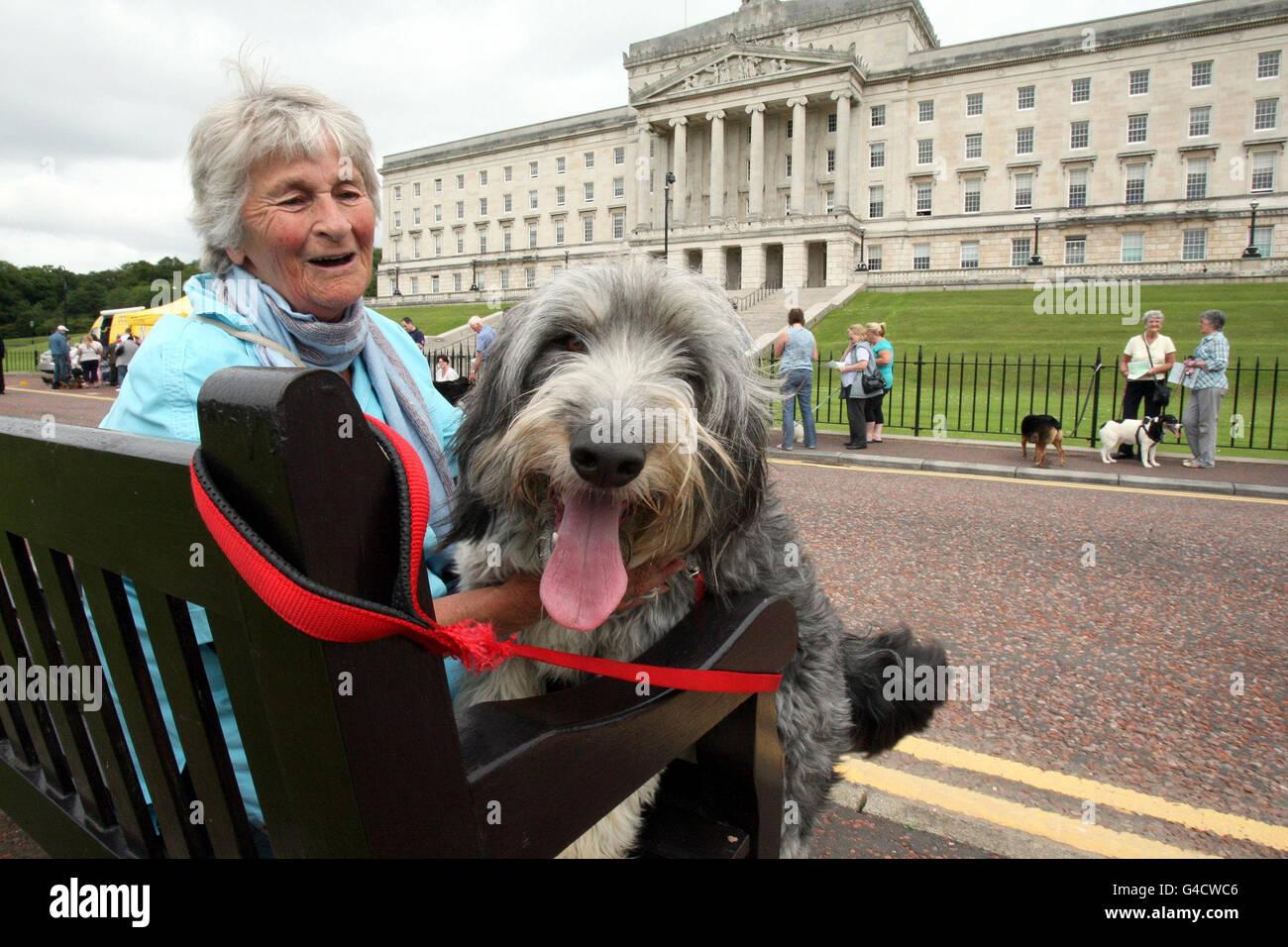 Micro chipping dog hi-res stock photography and images - Alamy