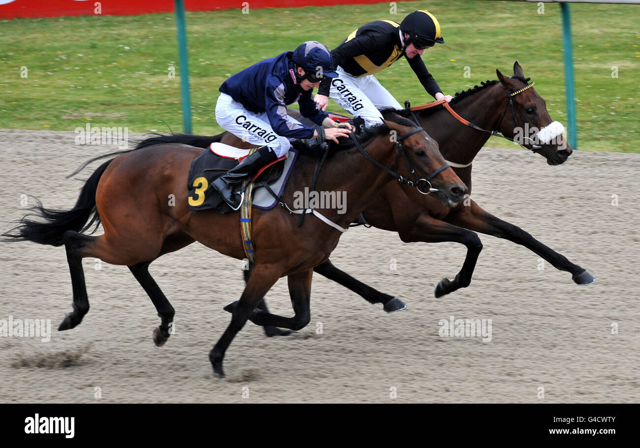 Horse Racing - Wolverhampton Races Stock Photo - Alamy