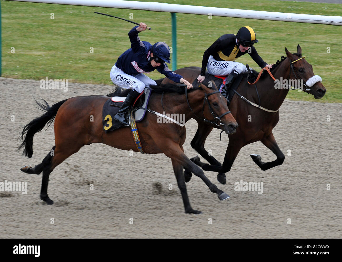 Horse Racing - Wolverhampton Races Stock Photo - Alamy