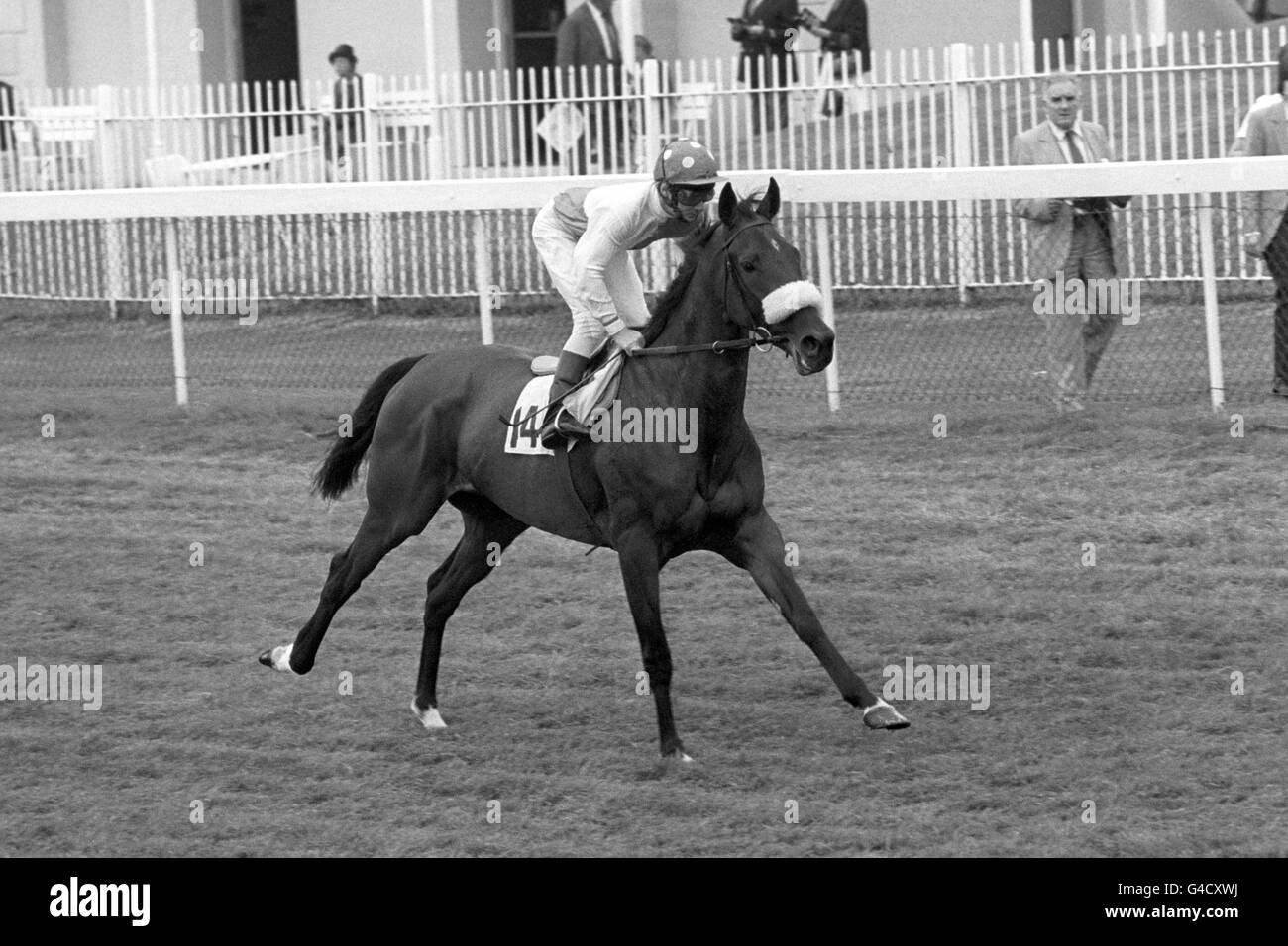 Richard Fox High Resolution Stock Photography and Images - Alamy