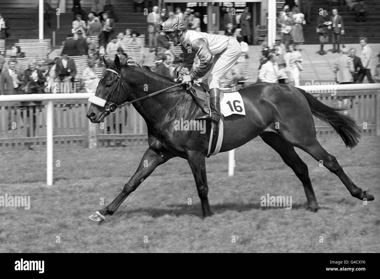 Jockey richard fox hi-res stock photography and images - Alamy