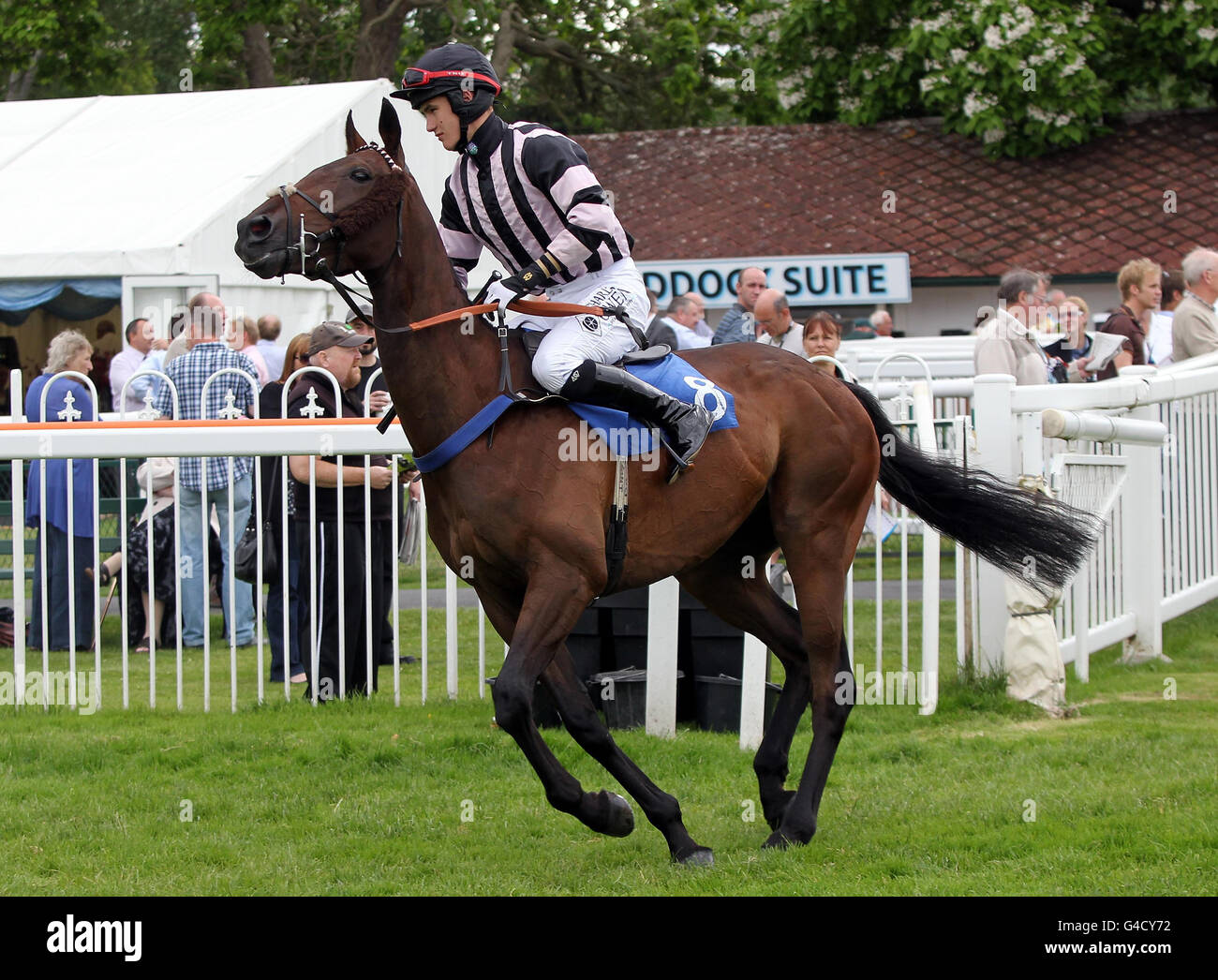 Horse Racing - Worcester Racecourse Stock Photo - Alamy