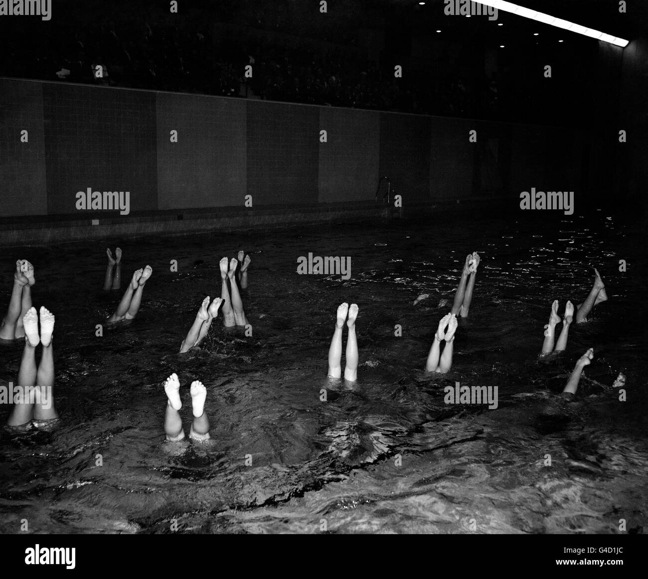 Ladys swimming pool hi-res stock photography and images - Alamy