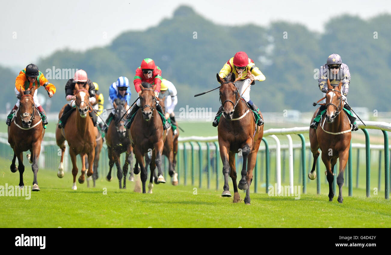 Horse Racing - bet365 Old Newton Cup Day - Haydock Park Racecourse ...