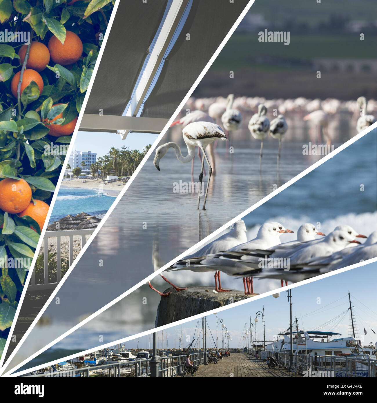 Collage of Cyprus images - travel background (my photos Stock Photo - Alamy