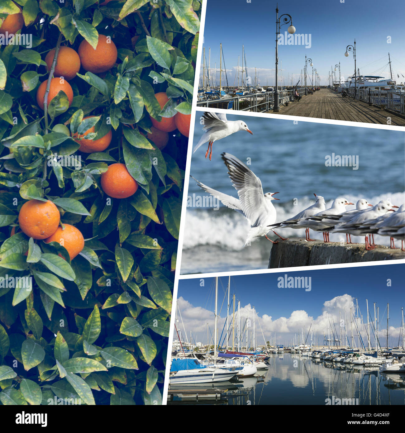 Collage of Cyprus images - travel background (my photos Stock Photo - Alamy