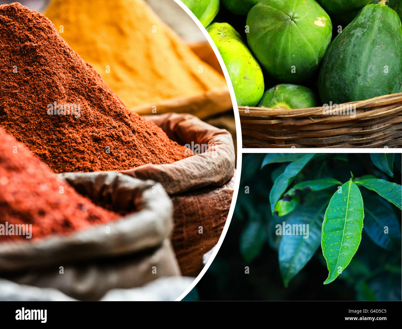 Collage of India images - travel background (my photos Stock Photo - Alamy