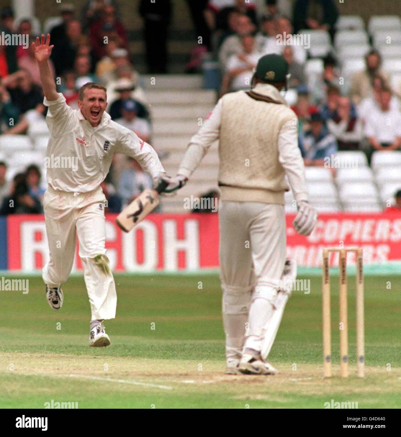 CRICKET/Cork celeb. Pollock Stock Photo - Alamy