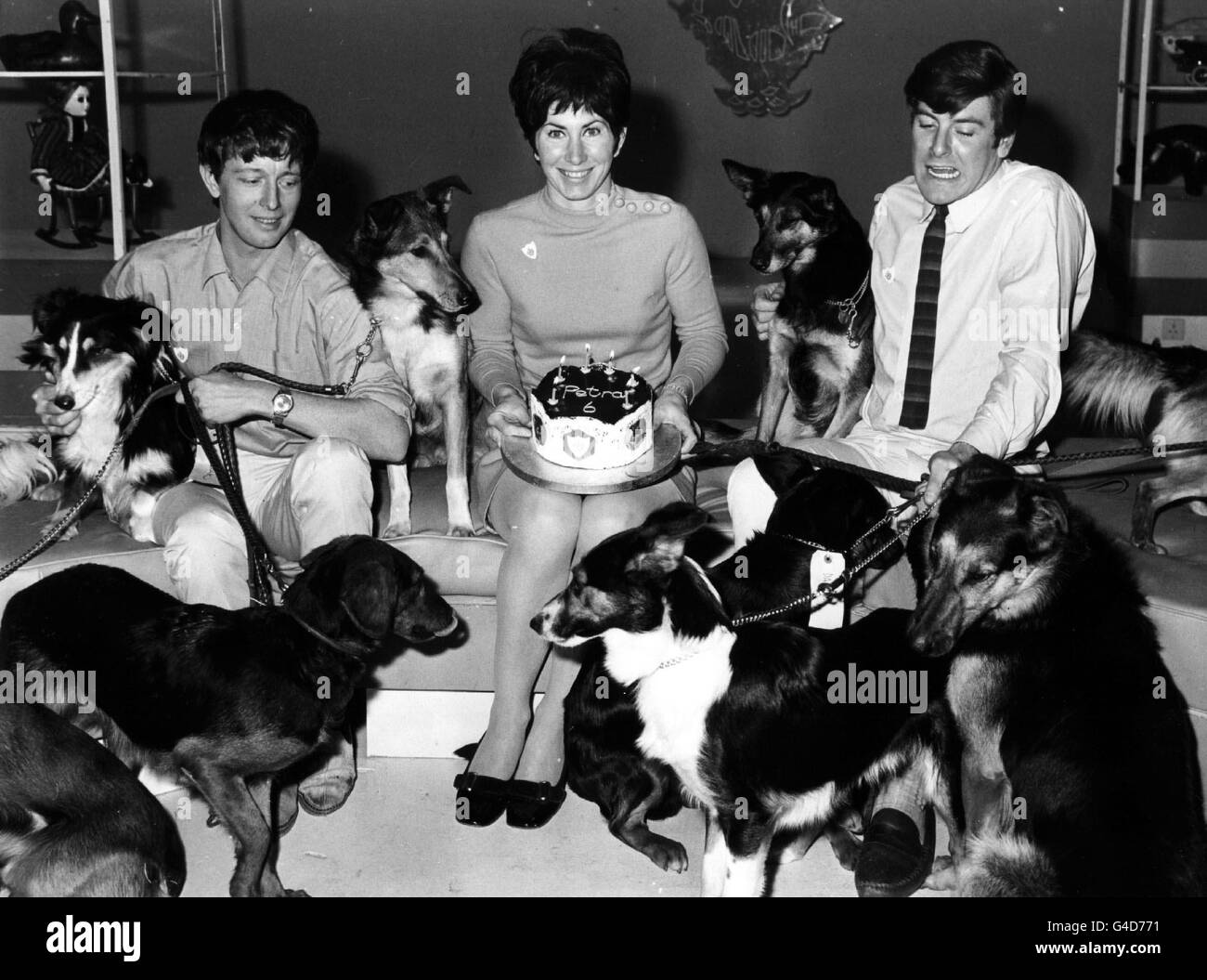 Blue peter purves noakes hi-res stock photography and images - Alamy