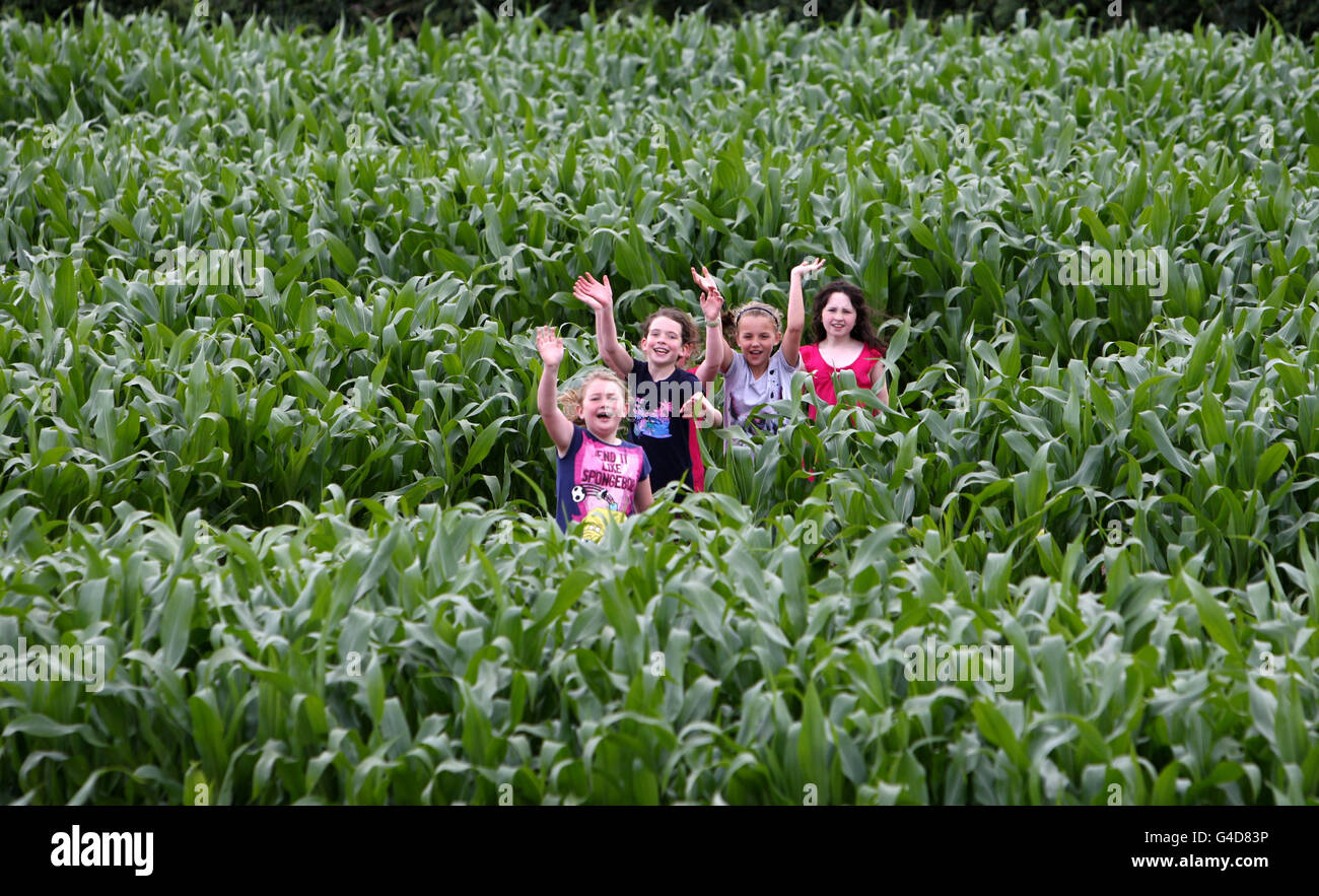 Children from Rangemore Primary school find their way through a Shaun ...