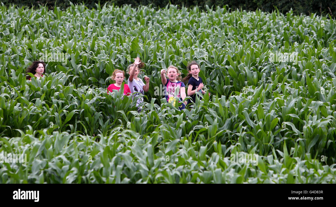 Children from Rangemore Primary school find their way through a Shaun ...