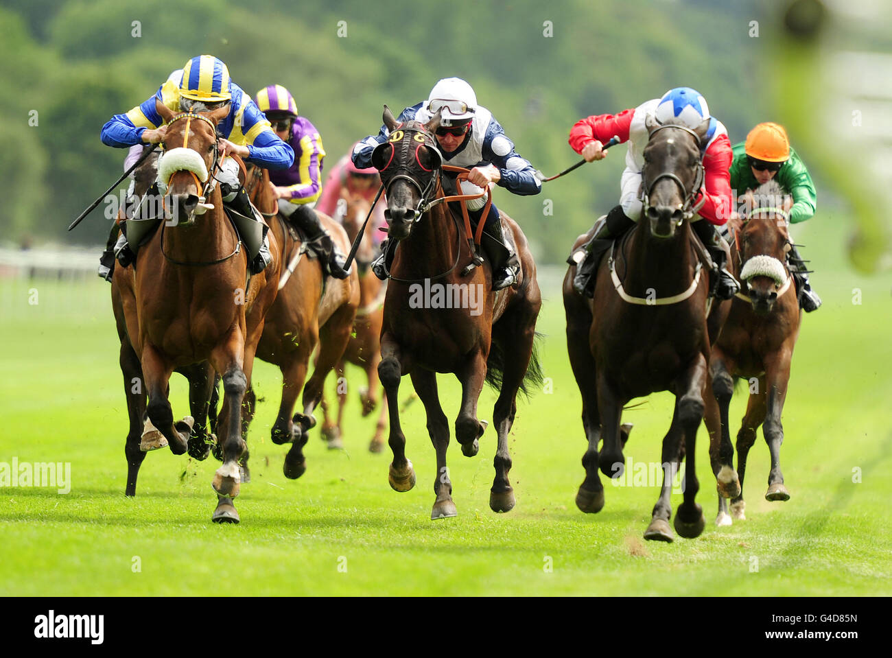Horse Racing - Afternoon Racing - Lingfield Park Stock Photo - Alamy
