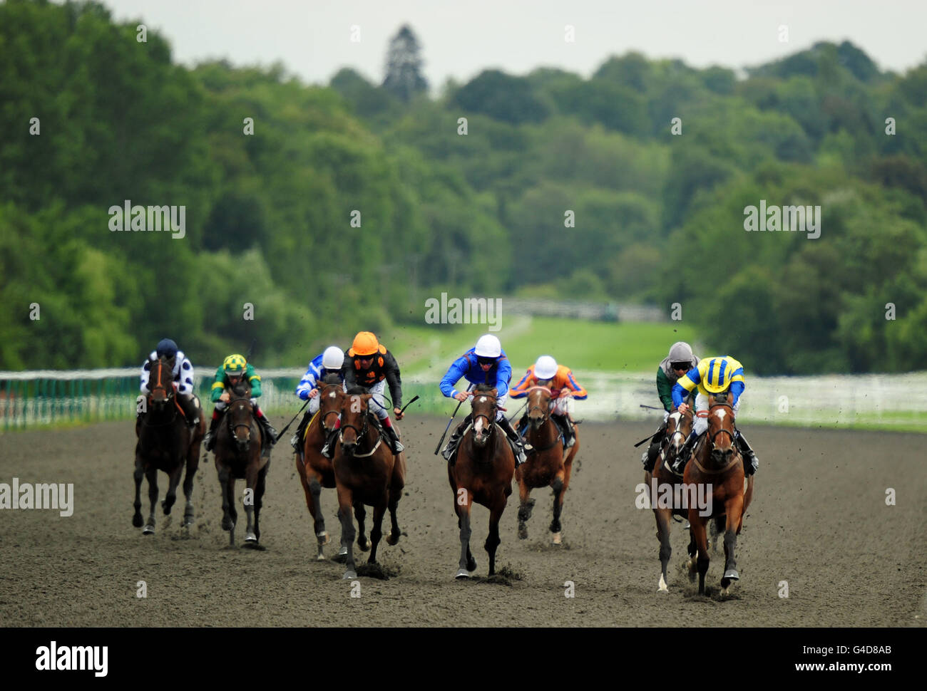 Horse through fire hi-res stock photography and images - Alamy