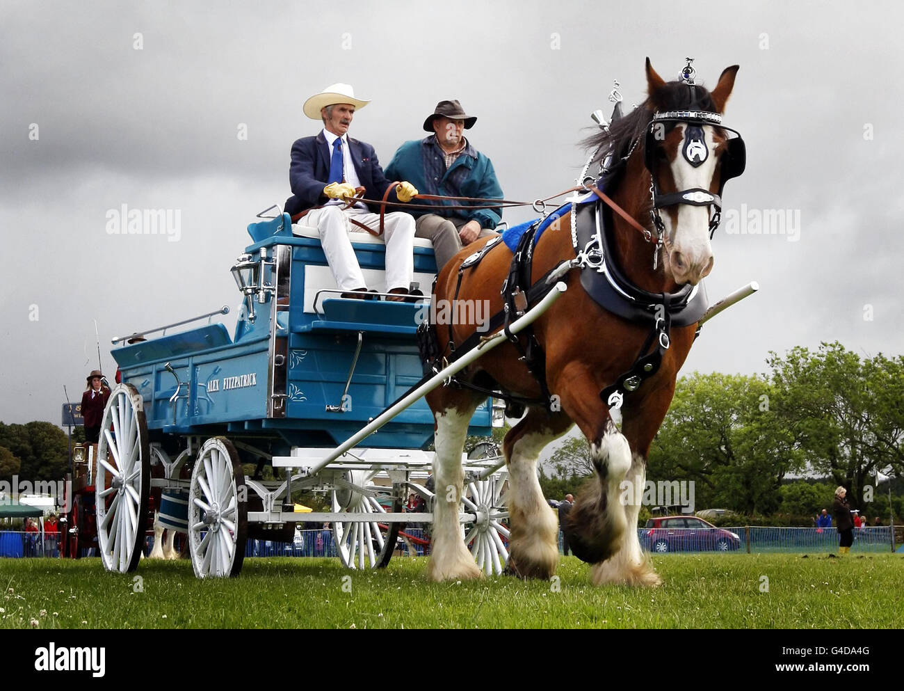 Heavy Horse Show Stock Photo - Alamy