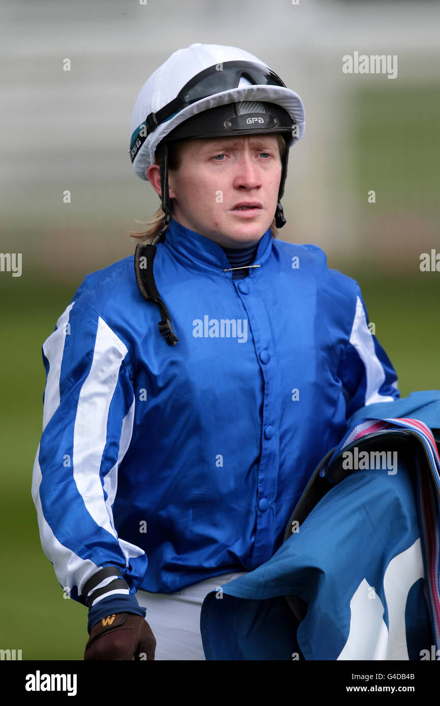 Saddle ring hi-res stock photography and images - Alamy