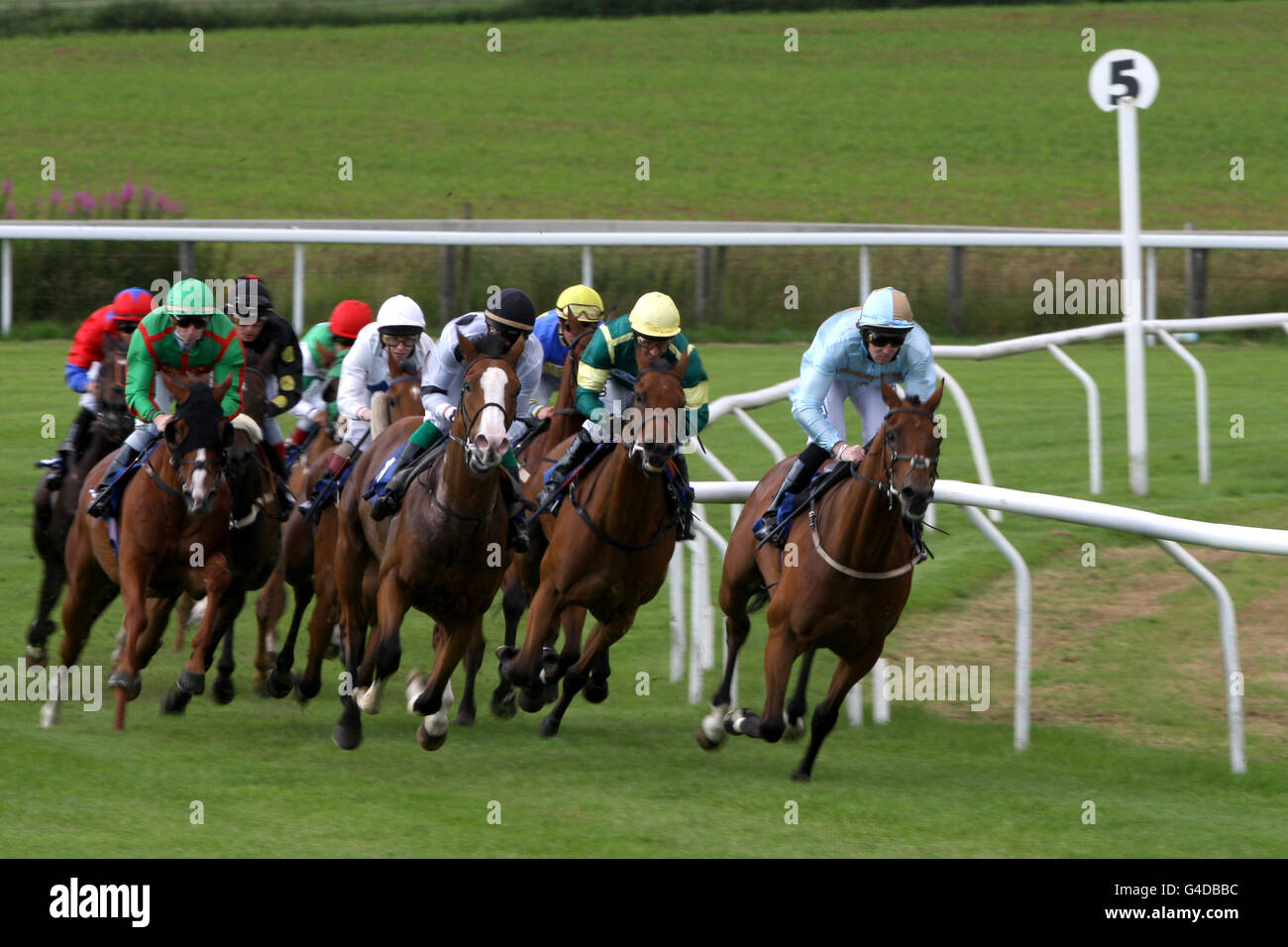 Horse Racing - Summer Race Night - Chepstow Racecourse Stock Photo - Alamy