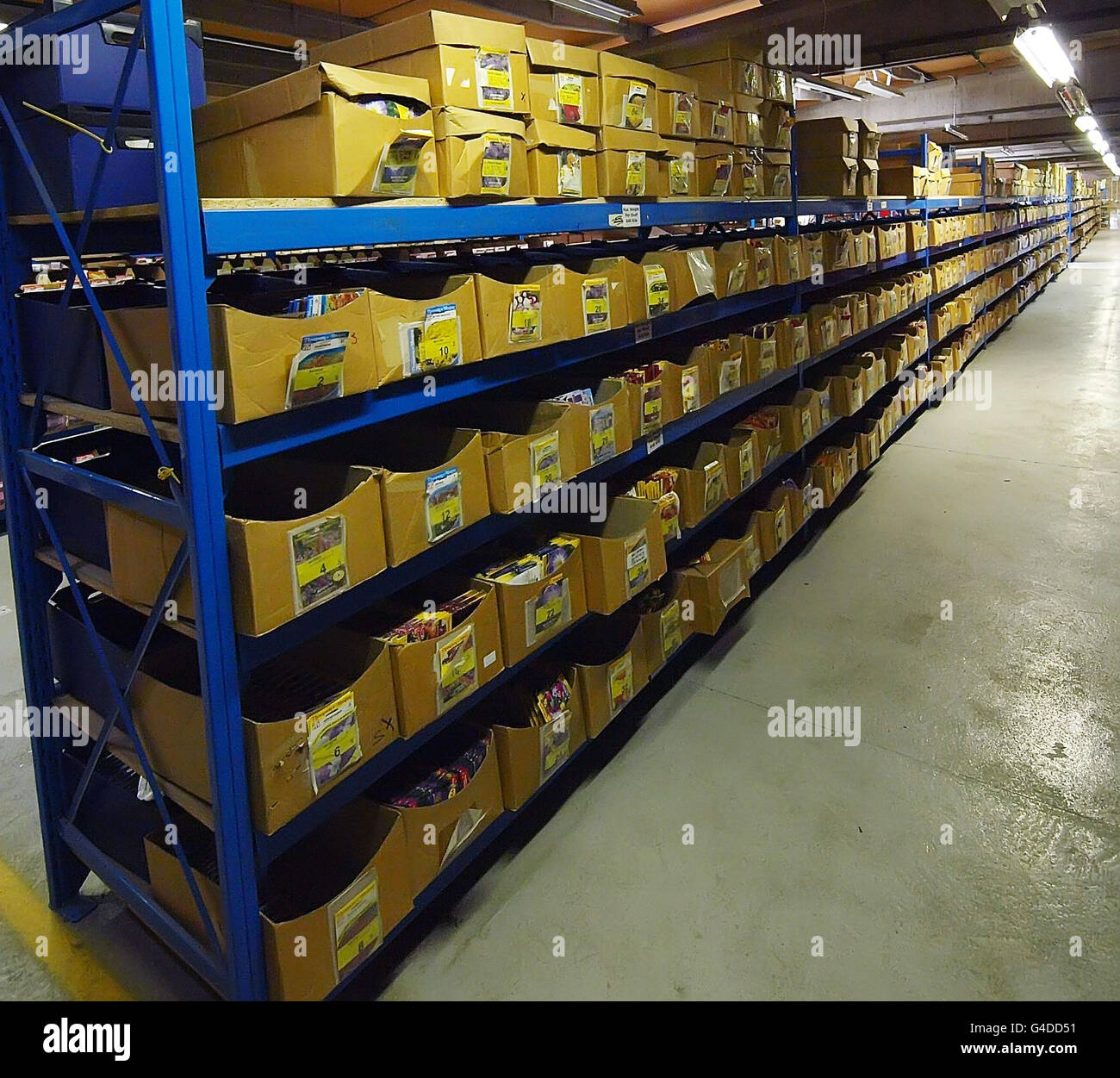 Racks containing seeds inside a warehouse at seed company Thompson ...