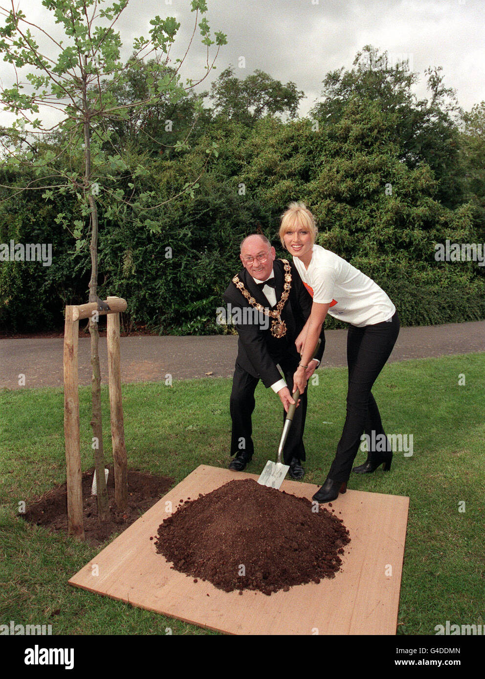 General noble tree hi-res stock photography and images - Alamy