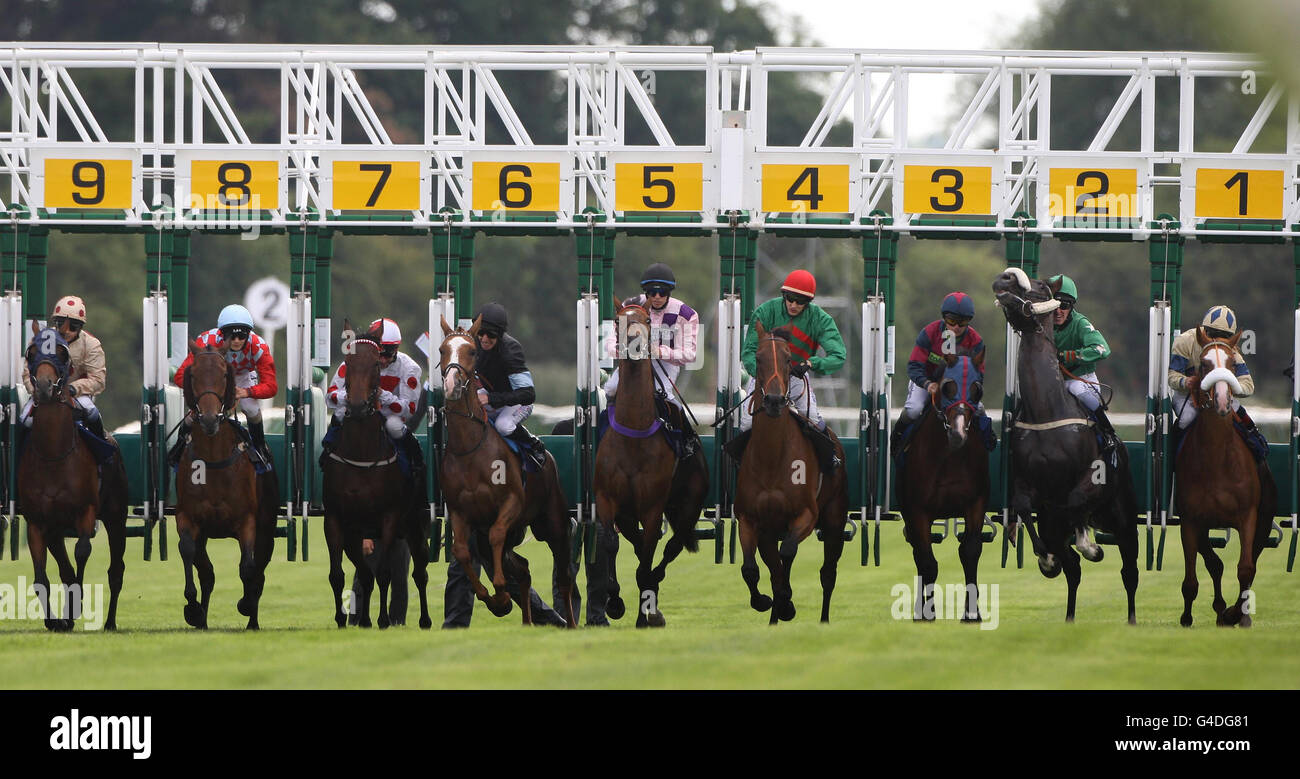 Horse Racing - Summer Season - Warwick Racecourse Stock Photo - Alamy