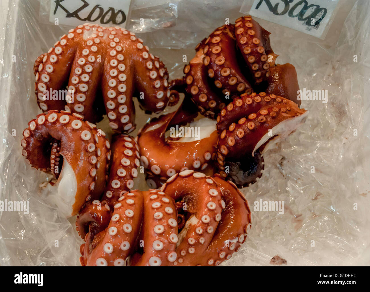 Tsukiji Fish Market in Tokyo Japan Stock Photo - Alamy