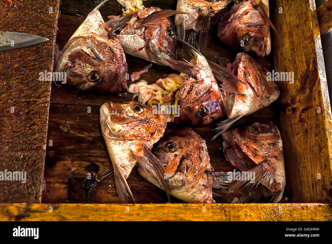 Tsukiji Fish Market in Tokyo Japan Stock Photo - Alamy