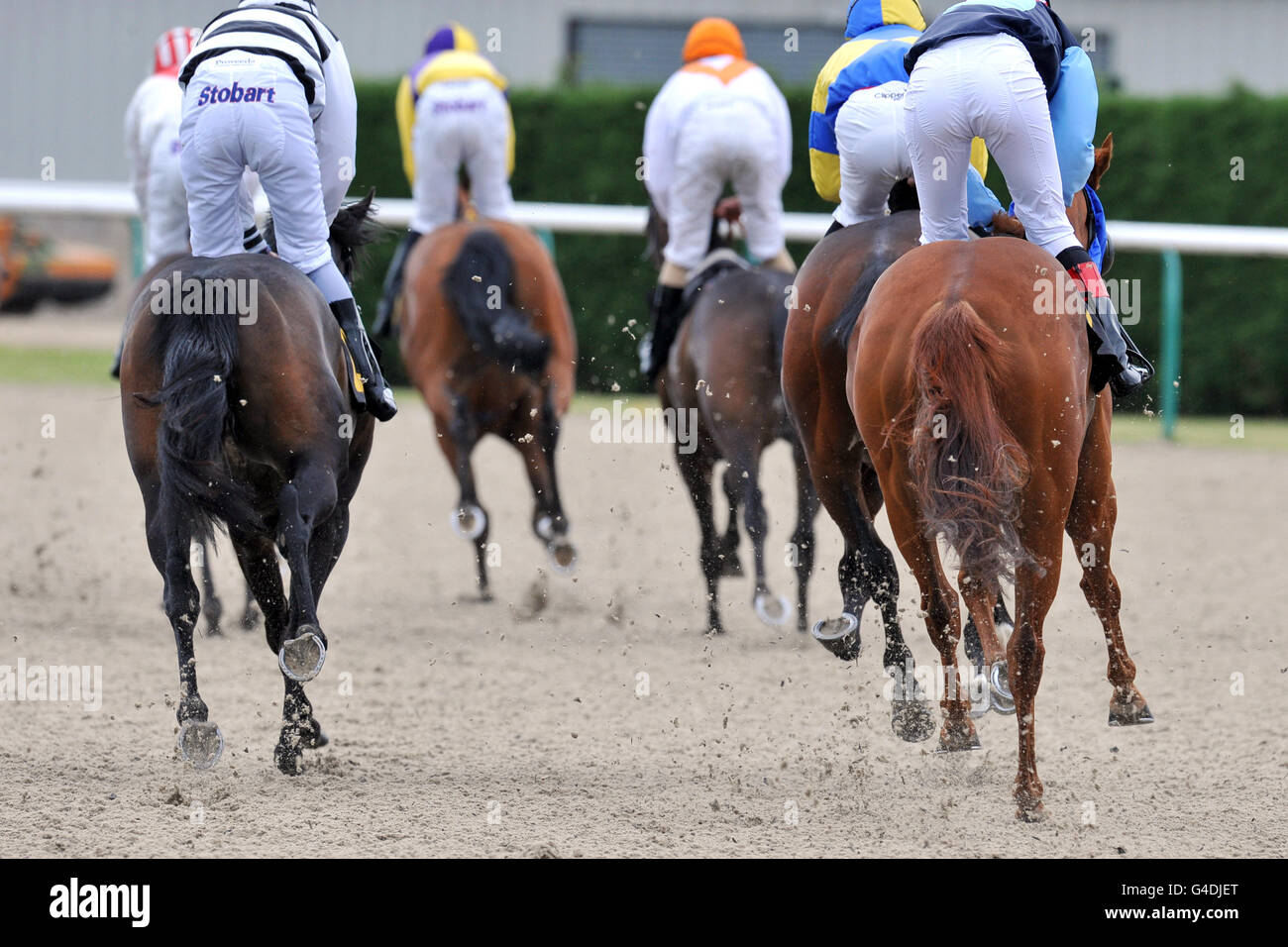 Horse racing wolverhampton racecourse 32 hi-res stock photography and ...