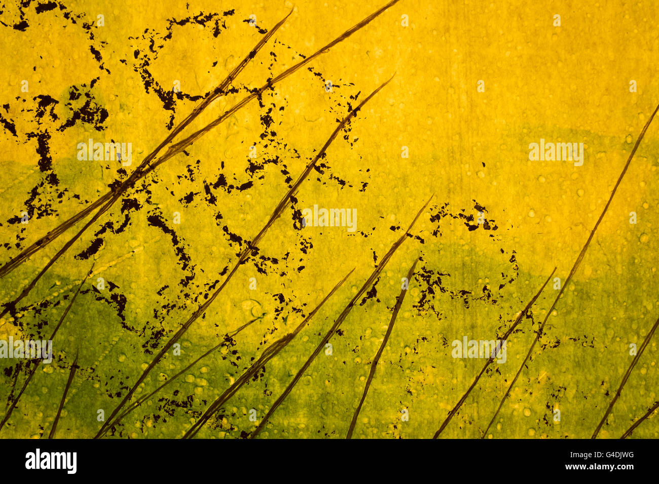 Mulberry color hi-res stock photography and images - Alamy