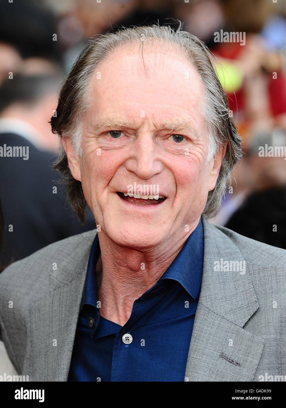 David Bradley Harry Potter