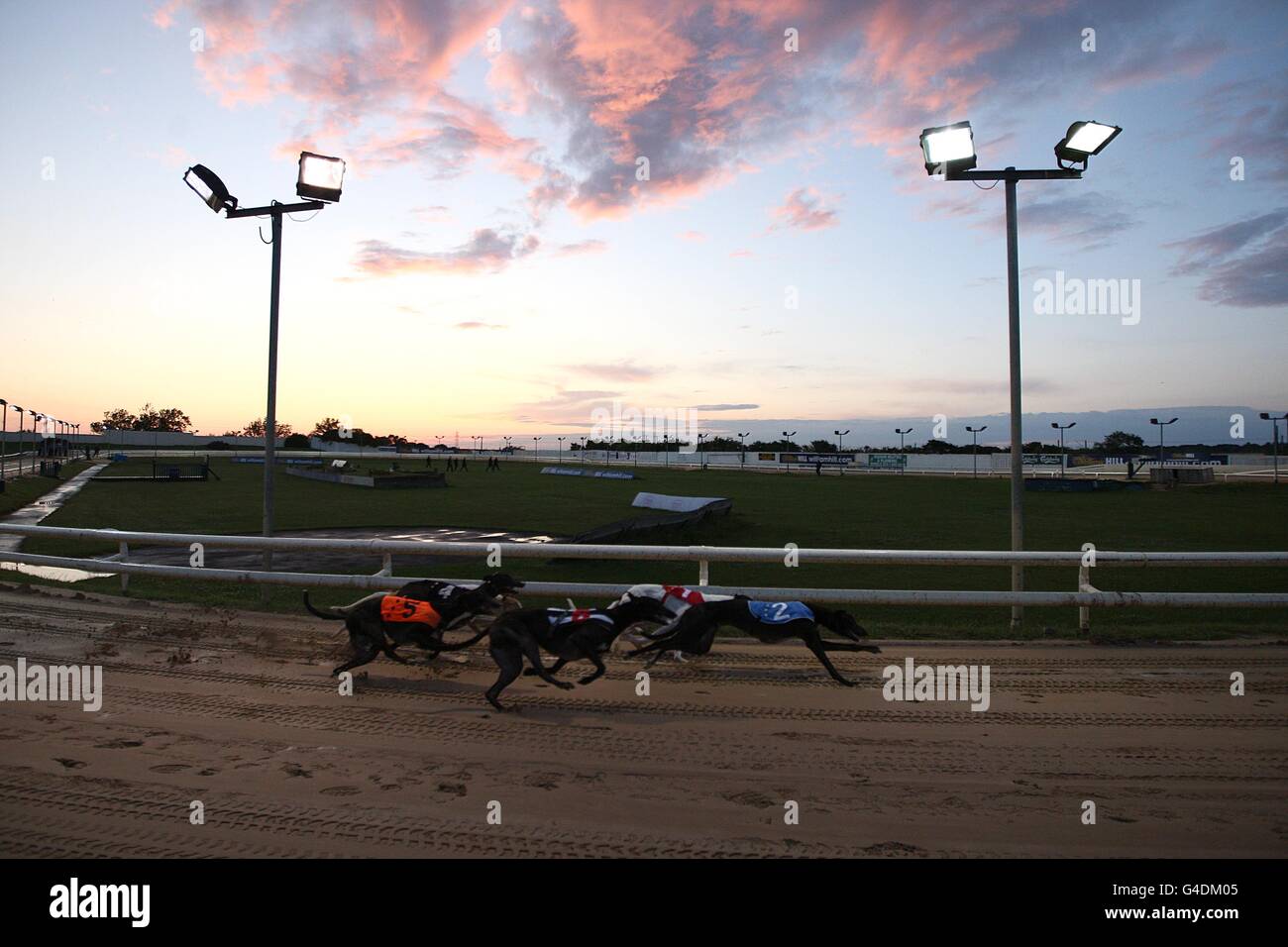 Sunderland greyhound stadium hi-res stock photography and images - Alamy
