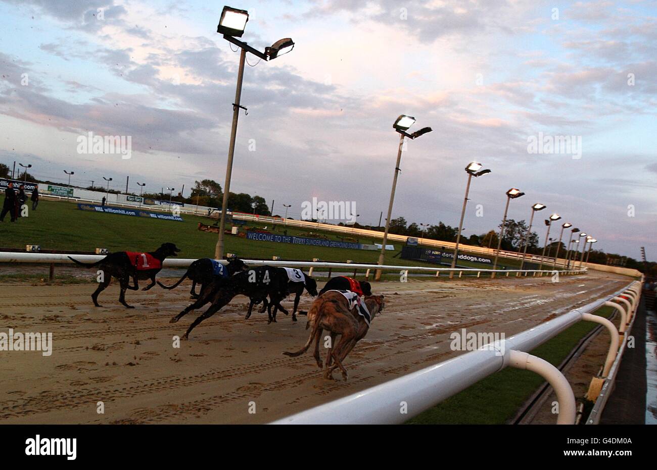 Sunderland greyhound stadium hi-res stock photography and images - Alamy