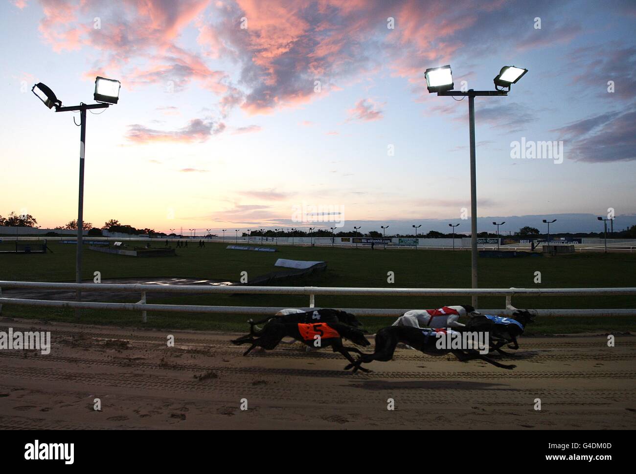 Sunderland greyhound stadium hi-res stock photography and images - Alamy