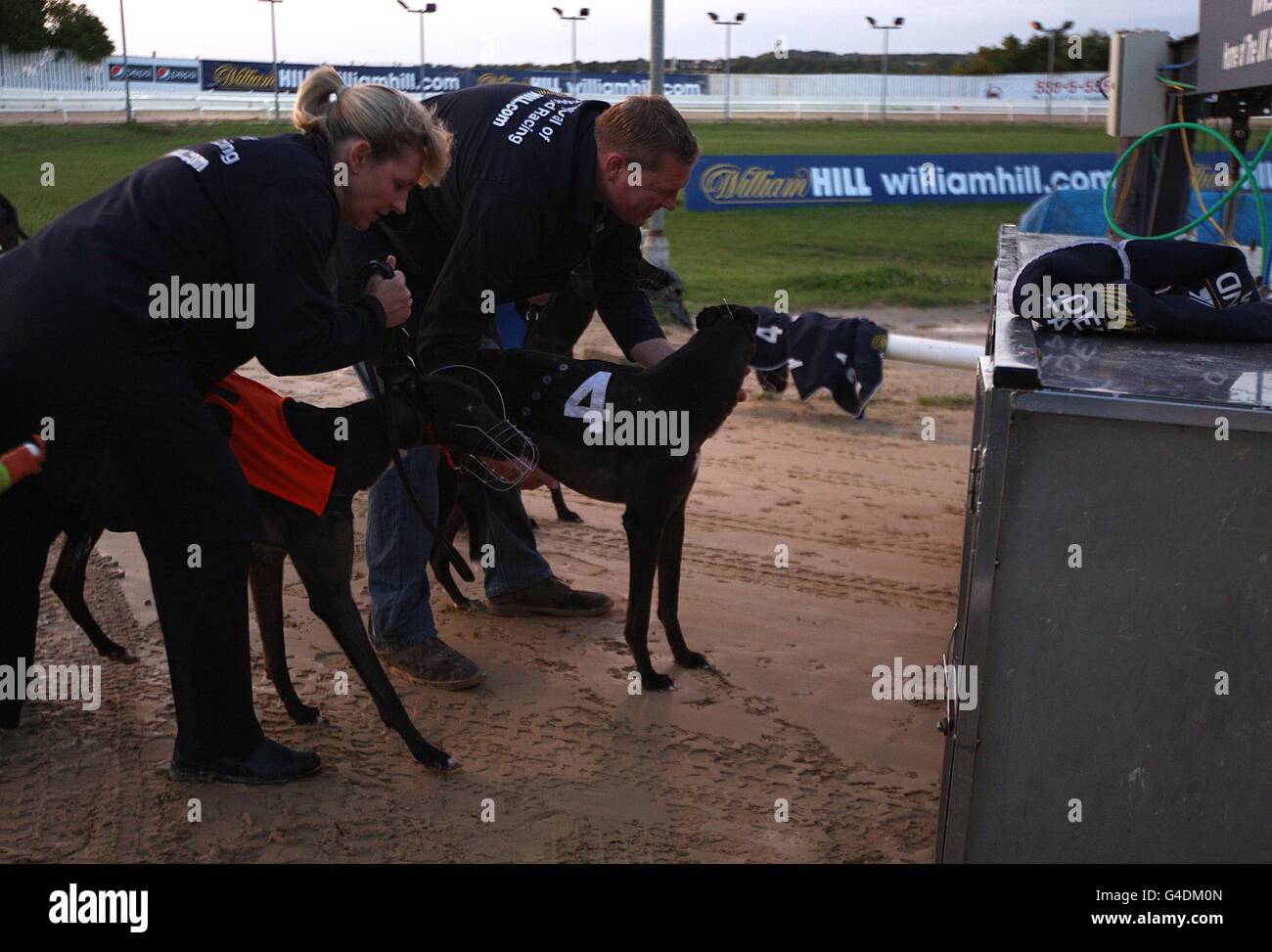 Sunderland Greyhound Stadium High Resolution Stock Photography and ...