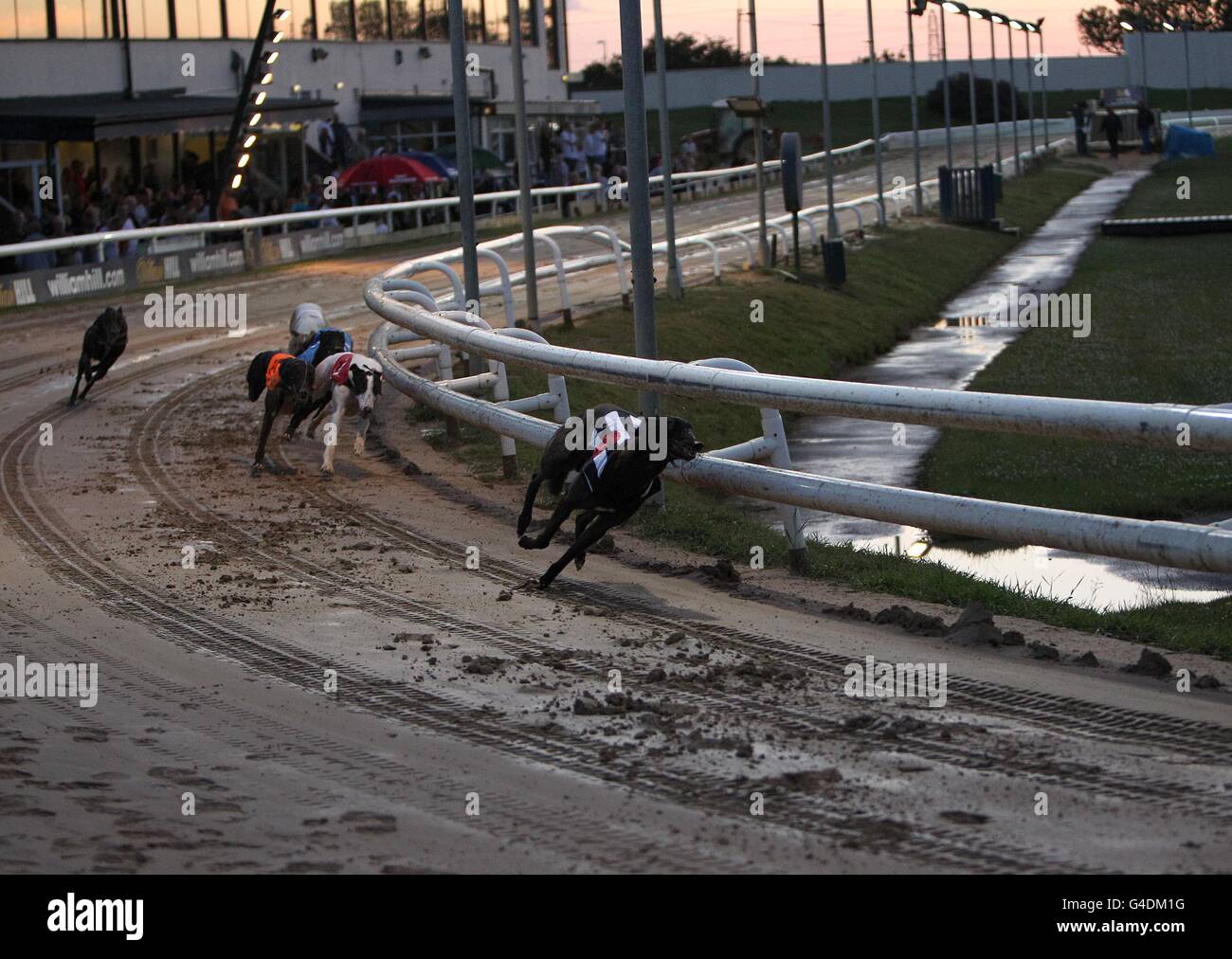Sunderland greyhound stadium hi-res stock photography and images - Alamy