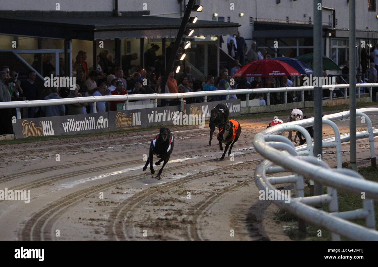 Greyhound racing sunderland greyhound stadium hi-res stock photography ...