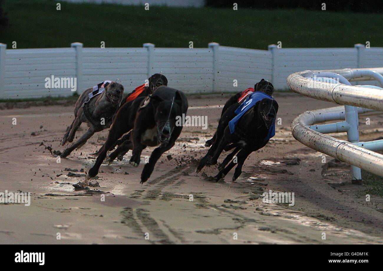 Sunderland greyhound stadium hi-res stock photography and images - Alamy