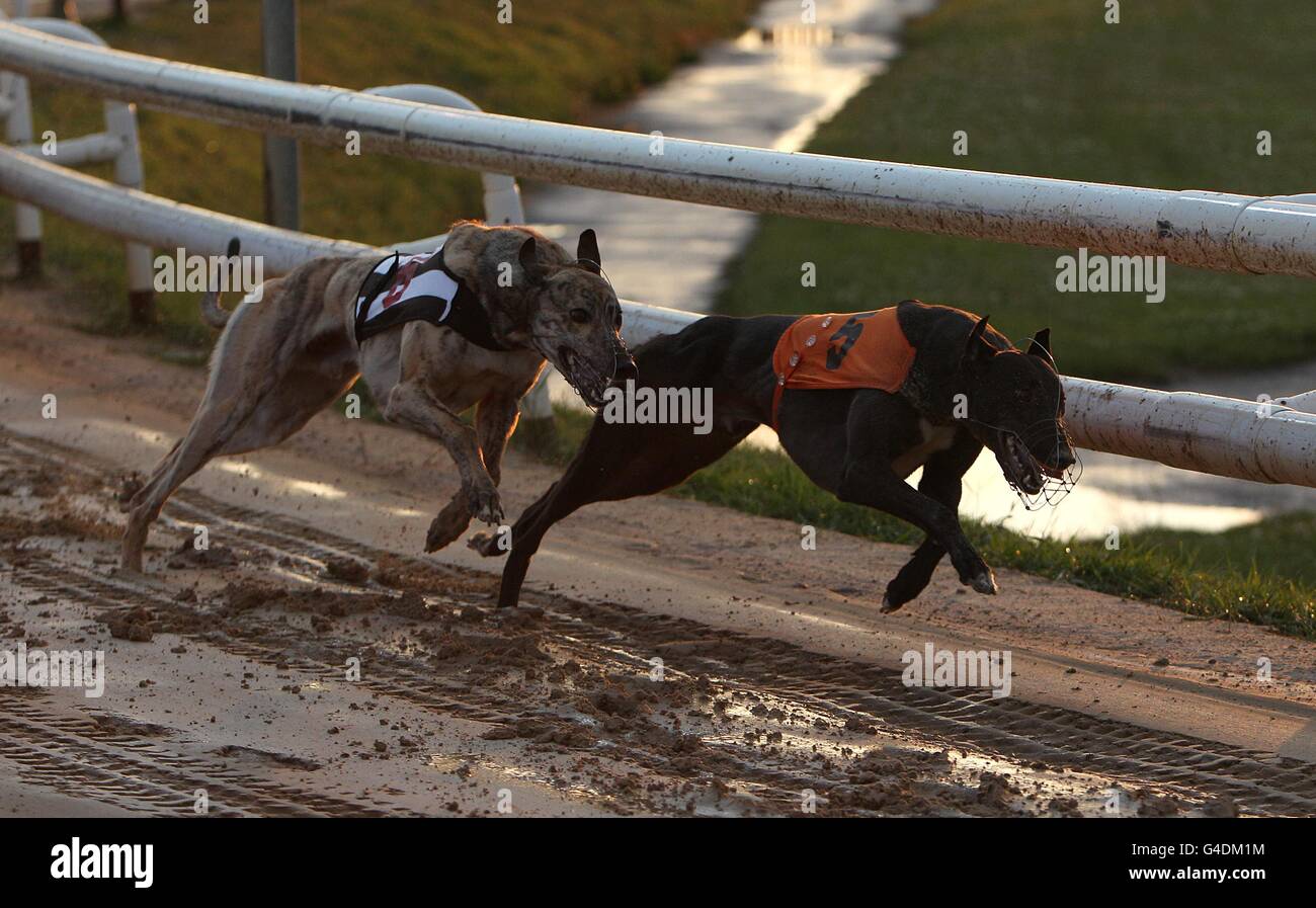 Sunderland greyhound stadium hi-res stock photography and images - Alamy