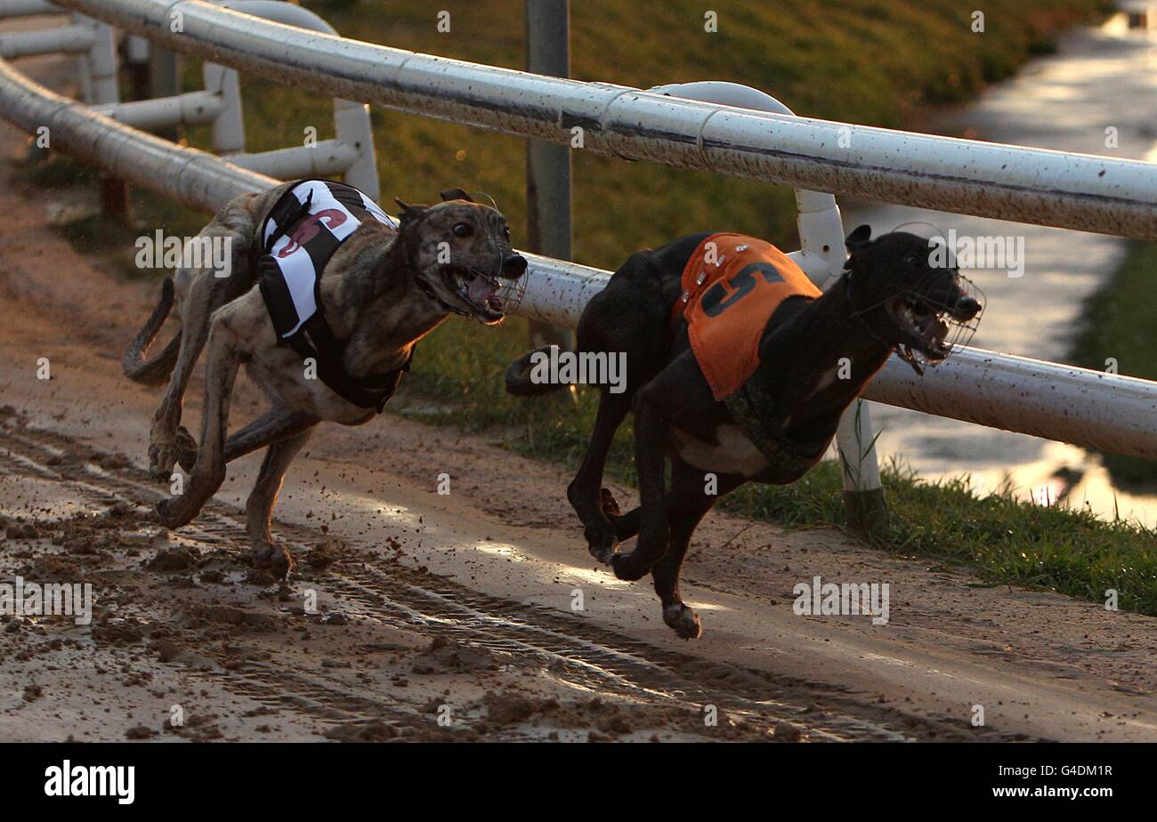 Sunderland greyhound stadium hi-res stock photography and images - Alamy
