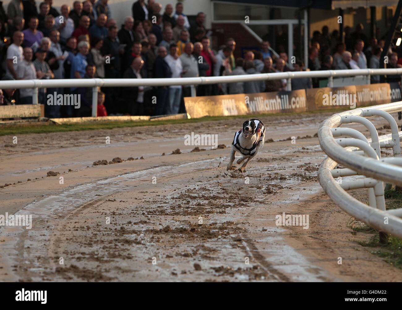 Sunderland greyhound stadium hi-res stock photography and images - Alamy