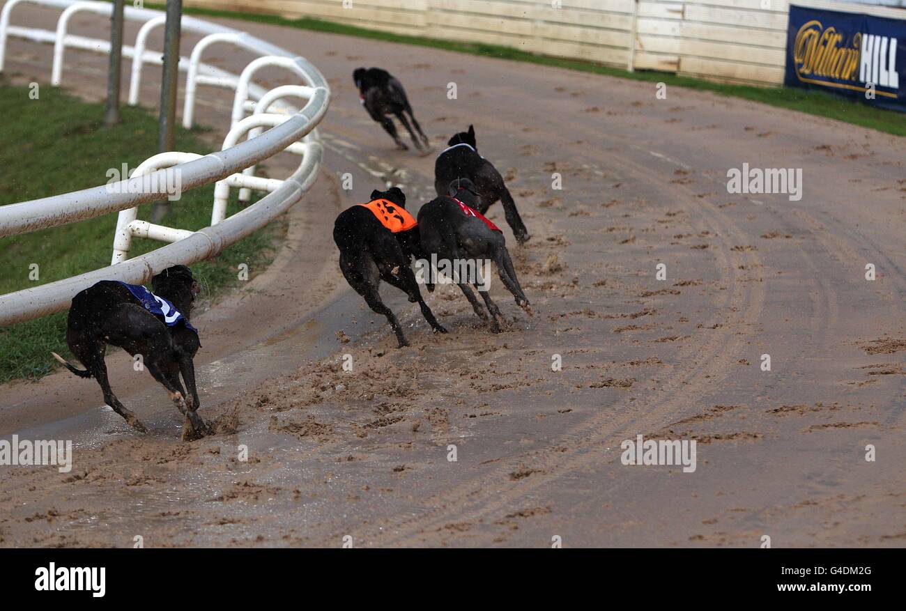 Sunderland greyhound stadium hi-res stock photography and images - Alamy