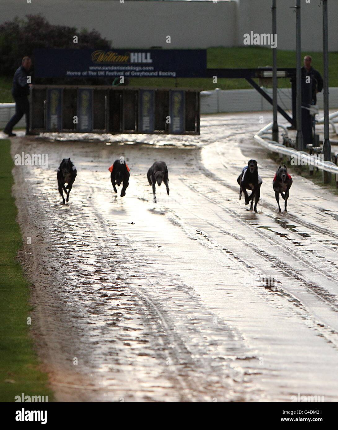 Sunderland greyhound stadium hi-res stock photography and images - Alamy