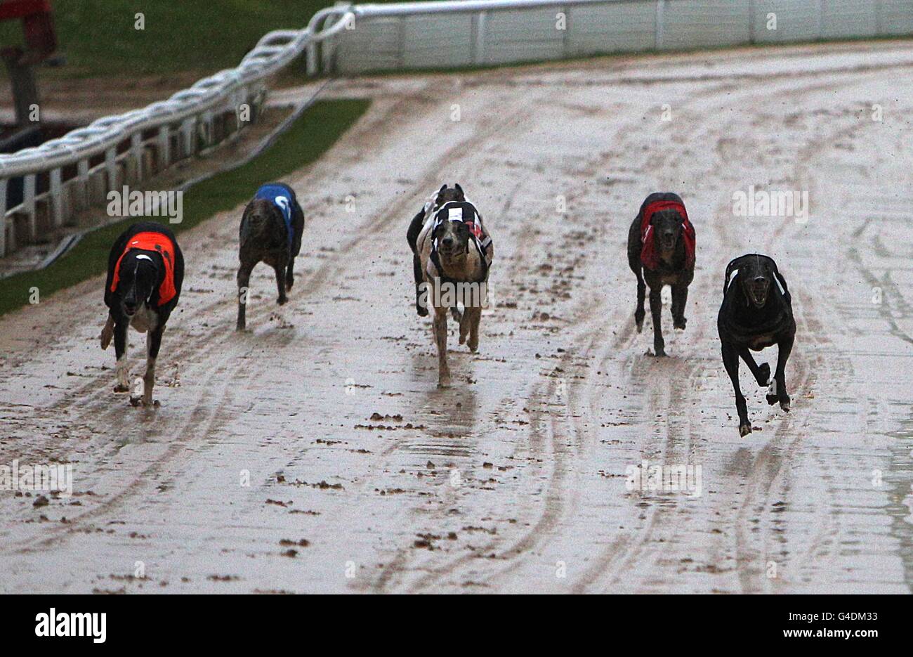 Sunderland greyhound stadium hi-res stock photography and images - Alamy