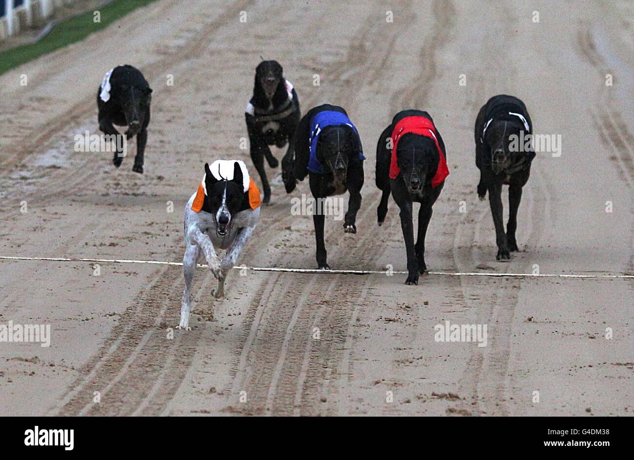 Sunderland greyhound stadium hi-res stock photography and images - Alamy