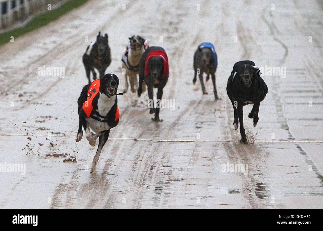 Sunderland greyhound stadium hi-res stock photography and images - Alamy