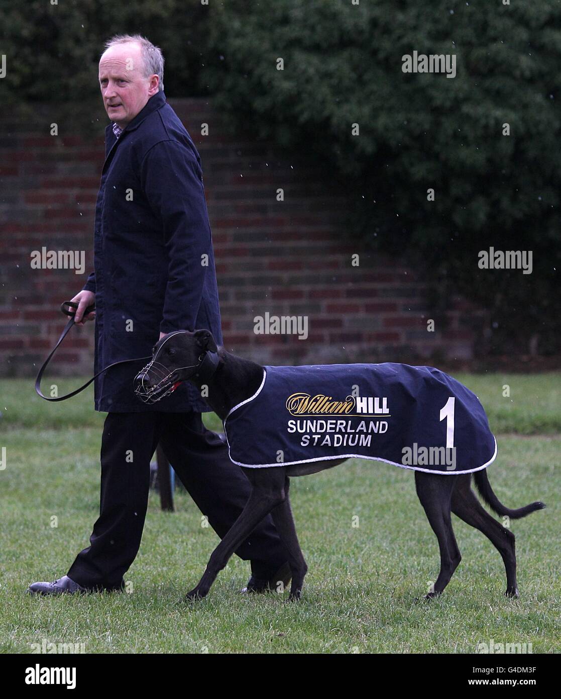 Sunderland greyhound stadium hi-res stock photography and images - Alamy
