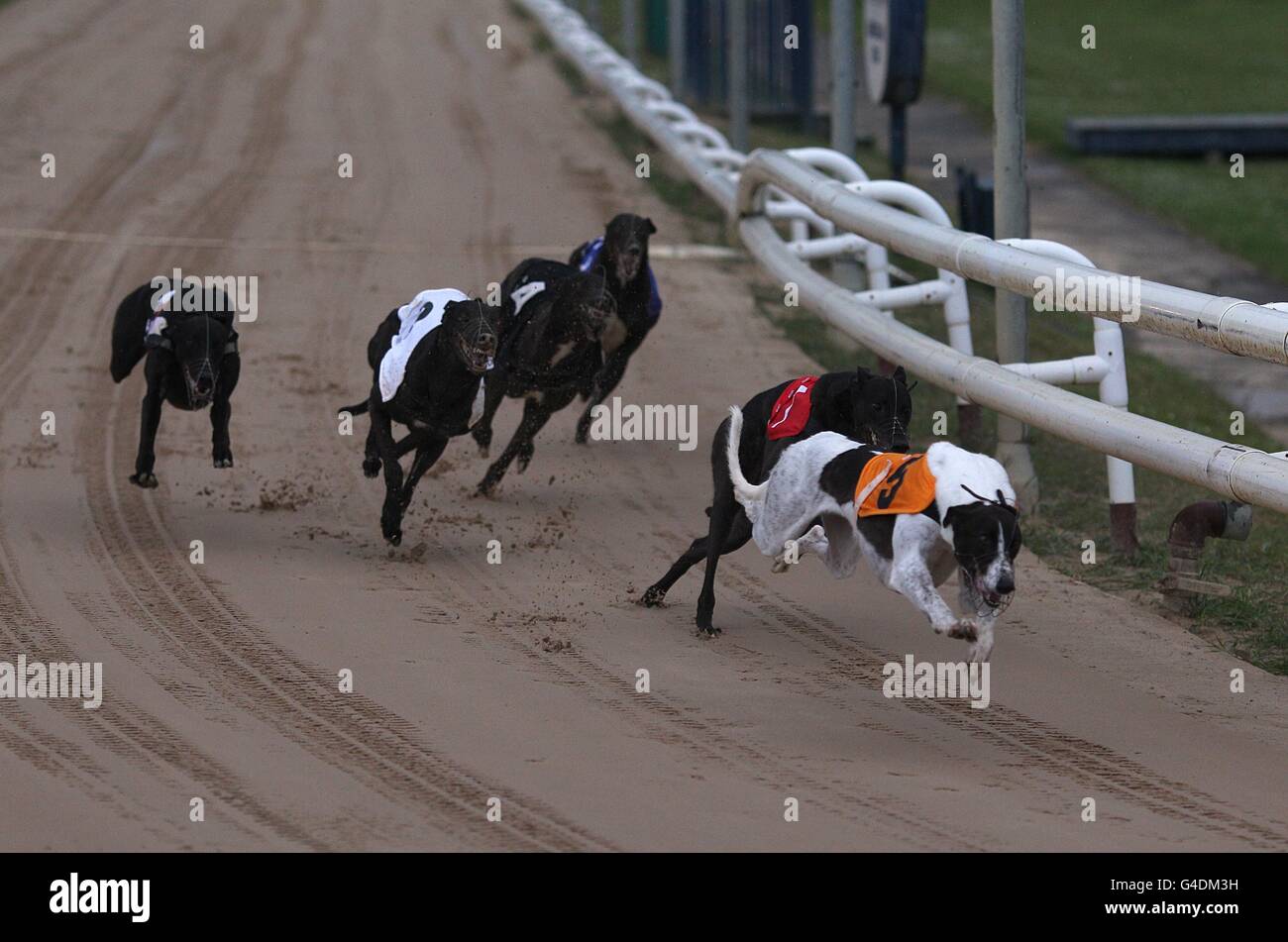 Sunderland greyhound stadium hi-res stock photography and images - Alamy
